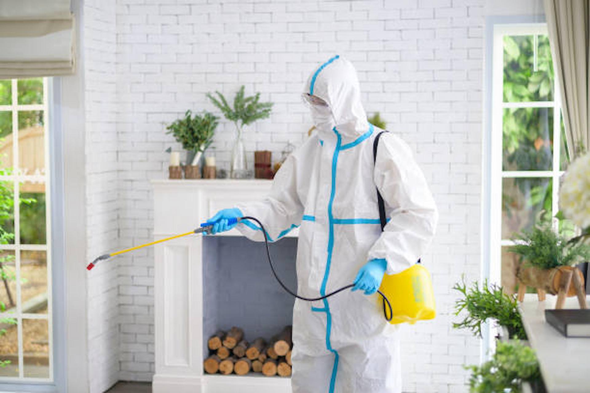 Pest Control Benefits – The Truth Behind Them